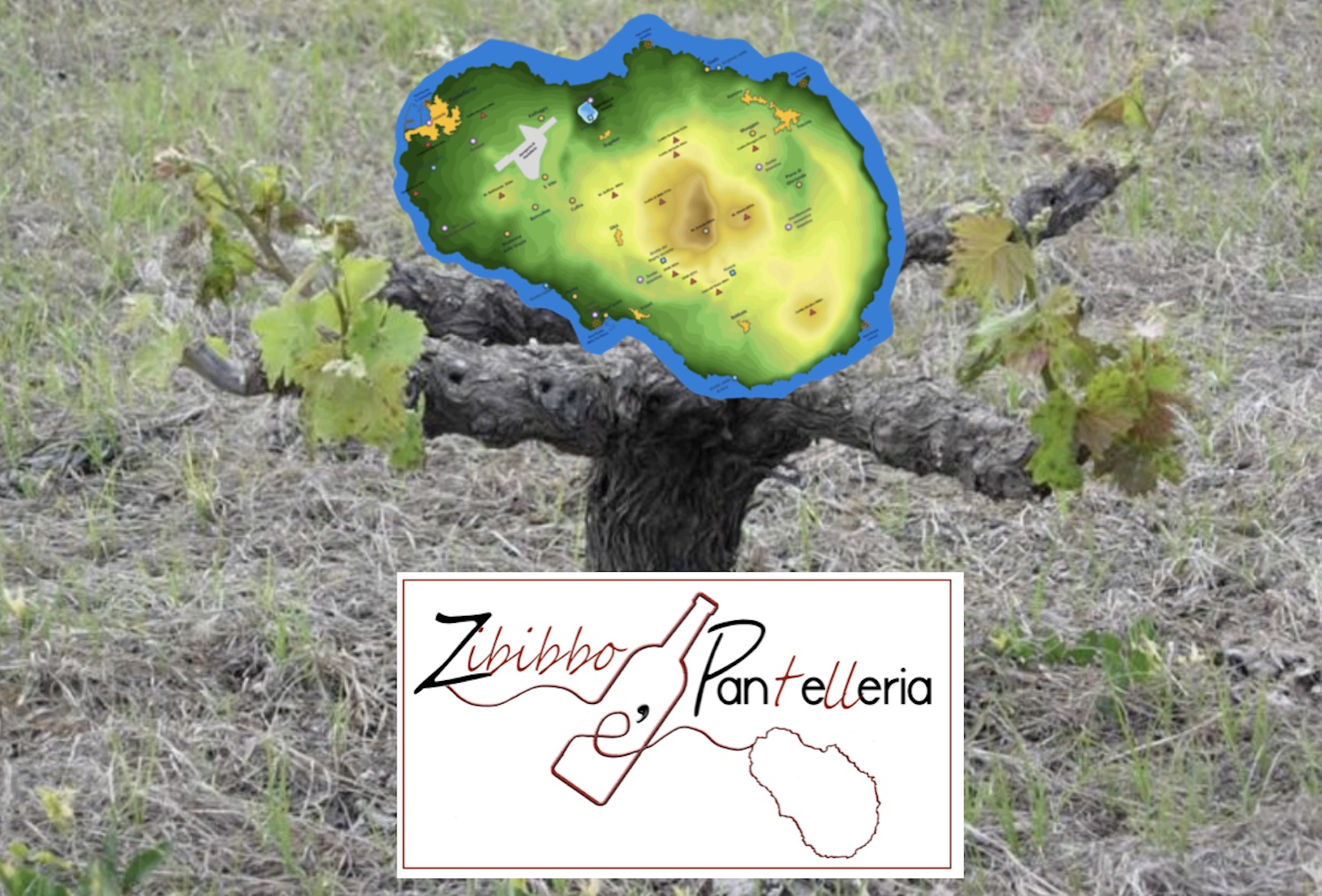 Pantelleria Doc e Zibibbo Classico Docg ... questo è il problema ...