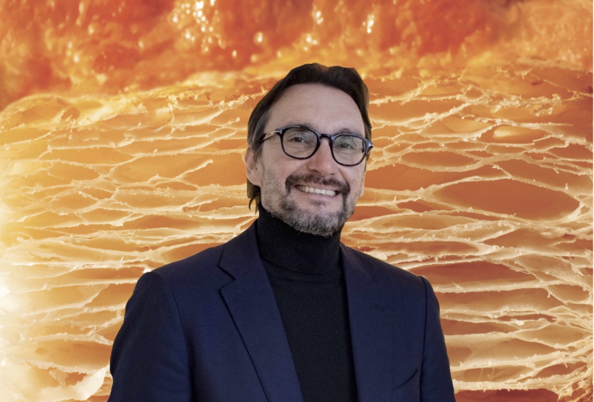 NUOVO LOGO E NUOVO PACKING DI CASA MATILDE VICENZI - INTERVISTA A ...