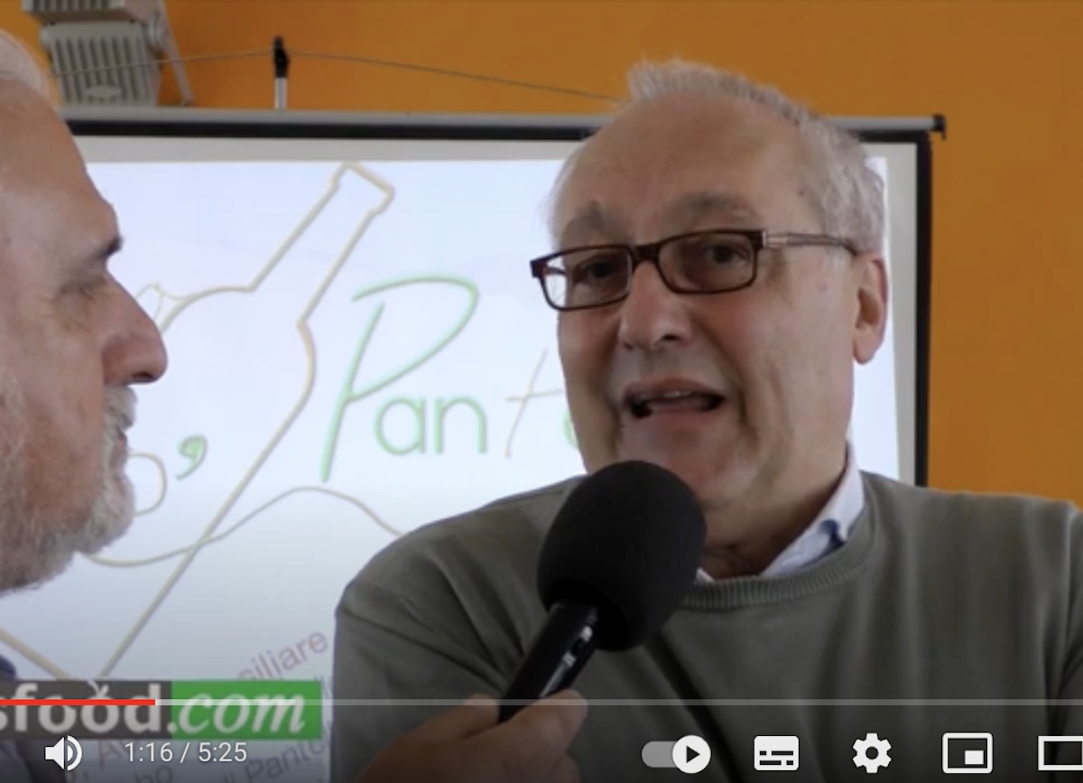 Zibibbo è Pantelleria, tre giorni di confronti e speranze di un nuovo ...