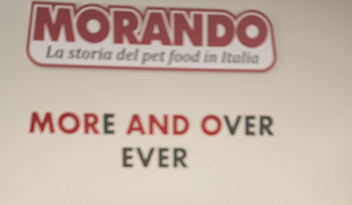 Il successo del Gruppo Morando: fatturato record e crescita continua ...